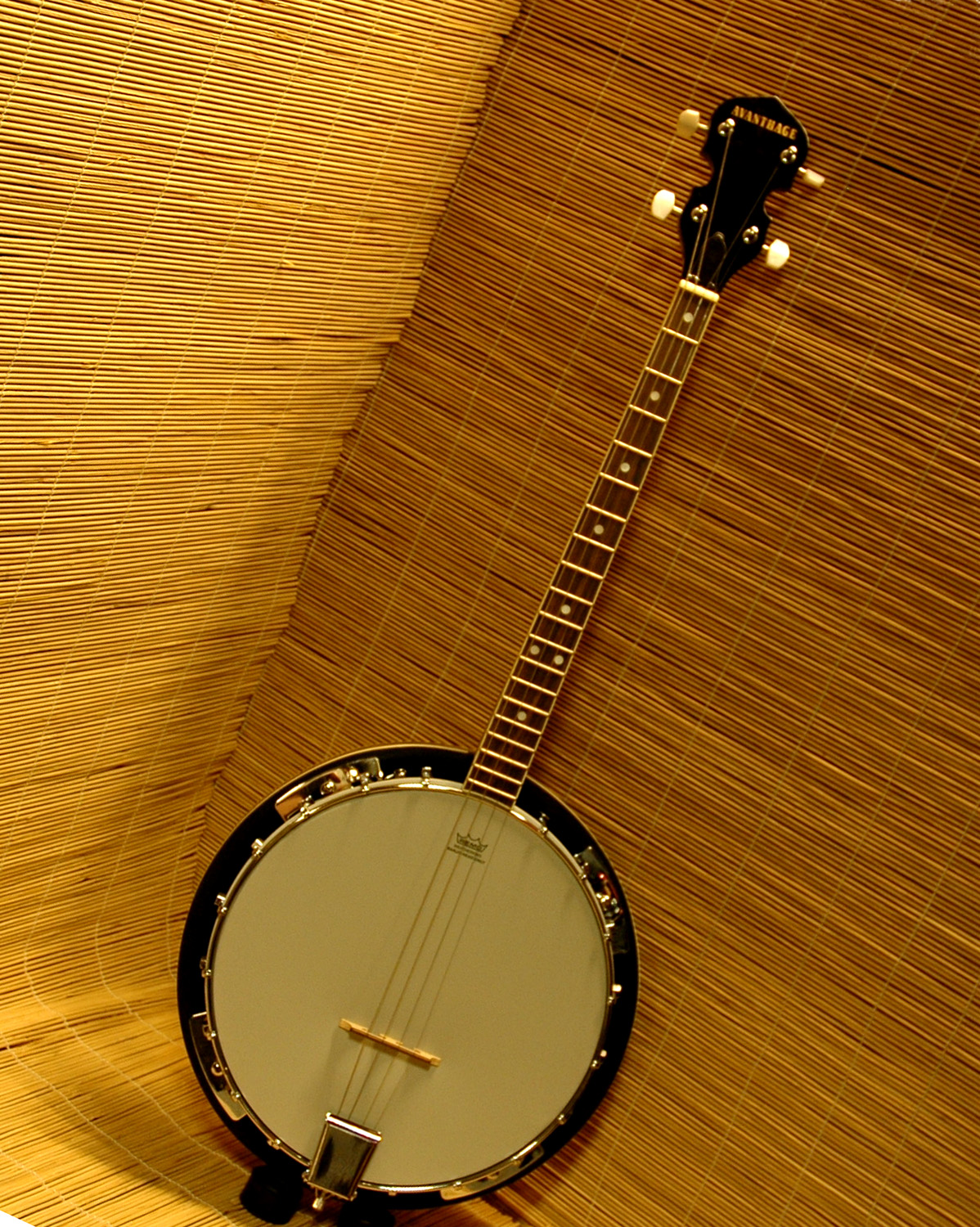 Centro Fiati e Percussioni | Banjo 4 corde